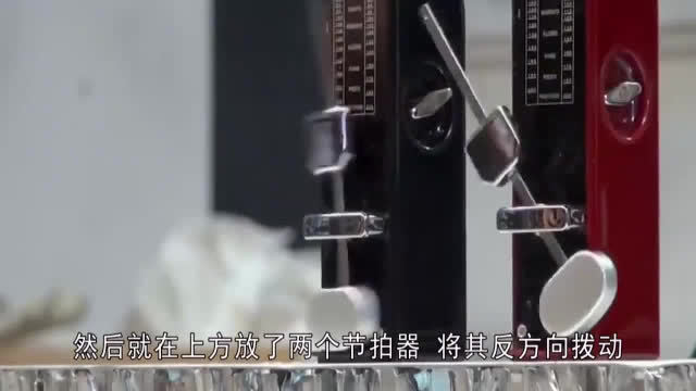 将节拍器摆成一排,摆动节奏为什么会变得统一起来?
