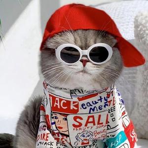 爱剪辑的西夏娃 