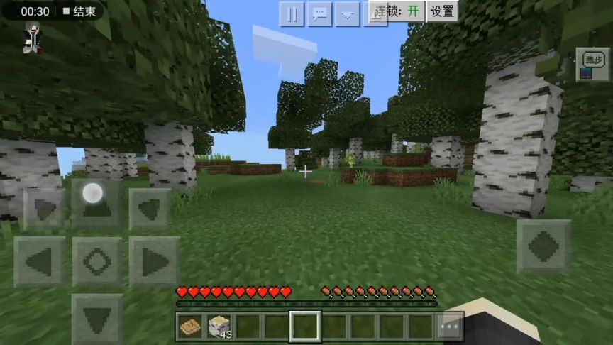 我的世界匠魂系列第一期