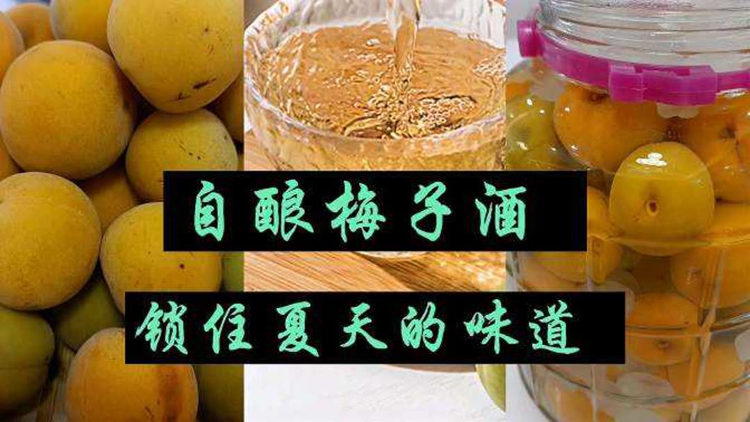 自酿梅子酒,女人养生酒,封存 夏天的记忆,锁住夏天的味道