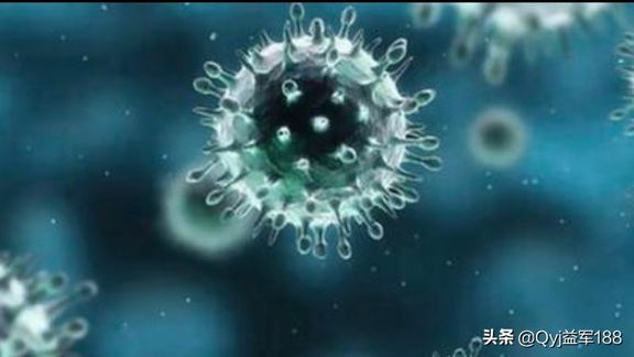 病毒是怎样传播的?