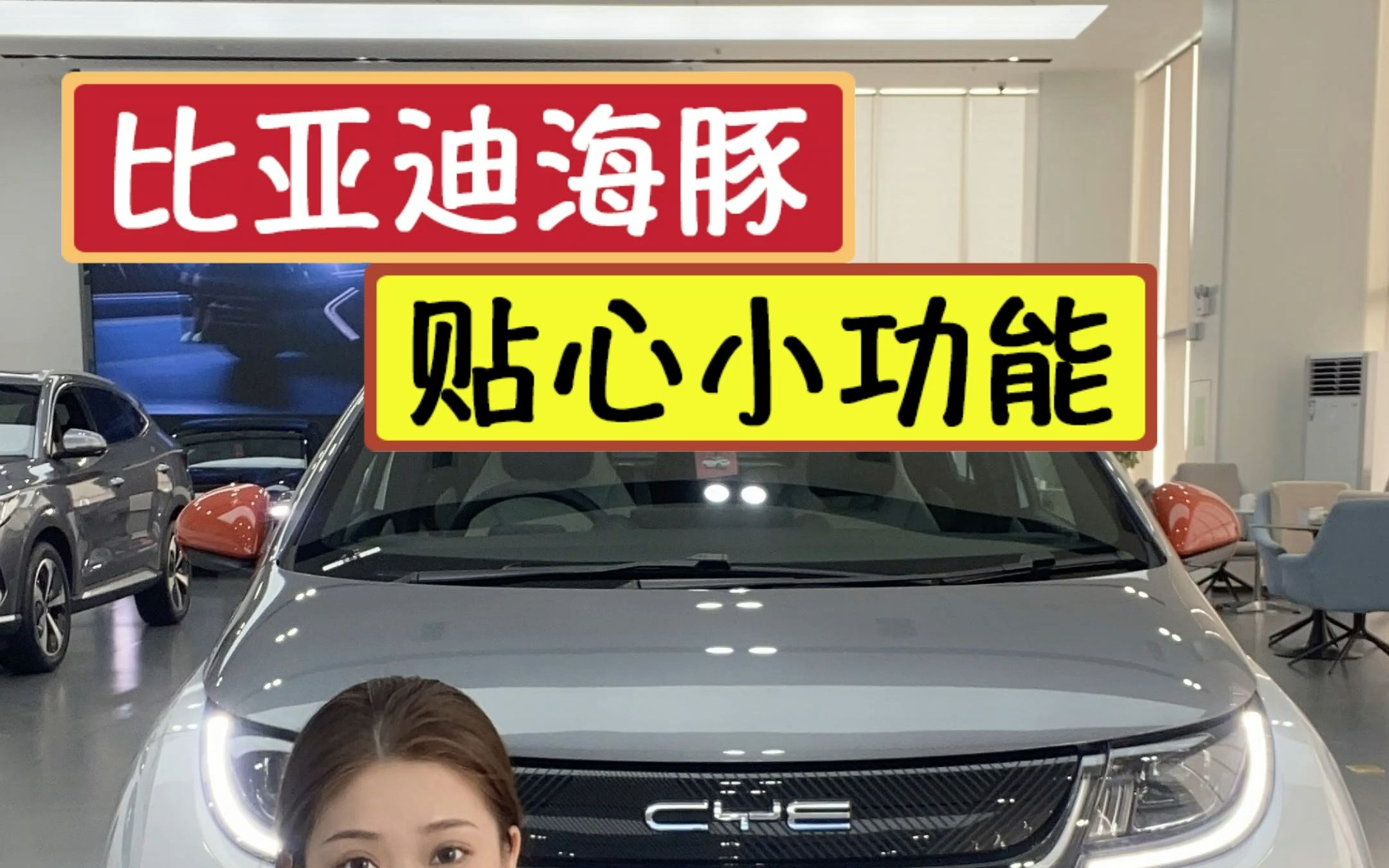 比亚迪海豚贴心小功能 #面朝大海果然有爱 #新能源汽车 #比亚迪