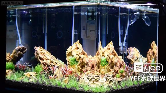 简单通透小鱼缸松皮石造景详细过程