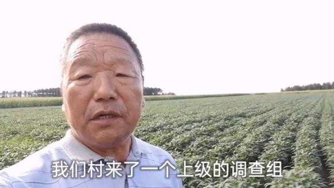 调查组来了,按20%进行了抽样调查,调查结果怎么样呢?