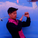 杨军魔术 
