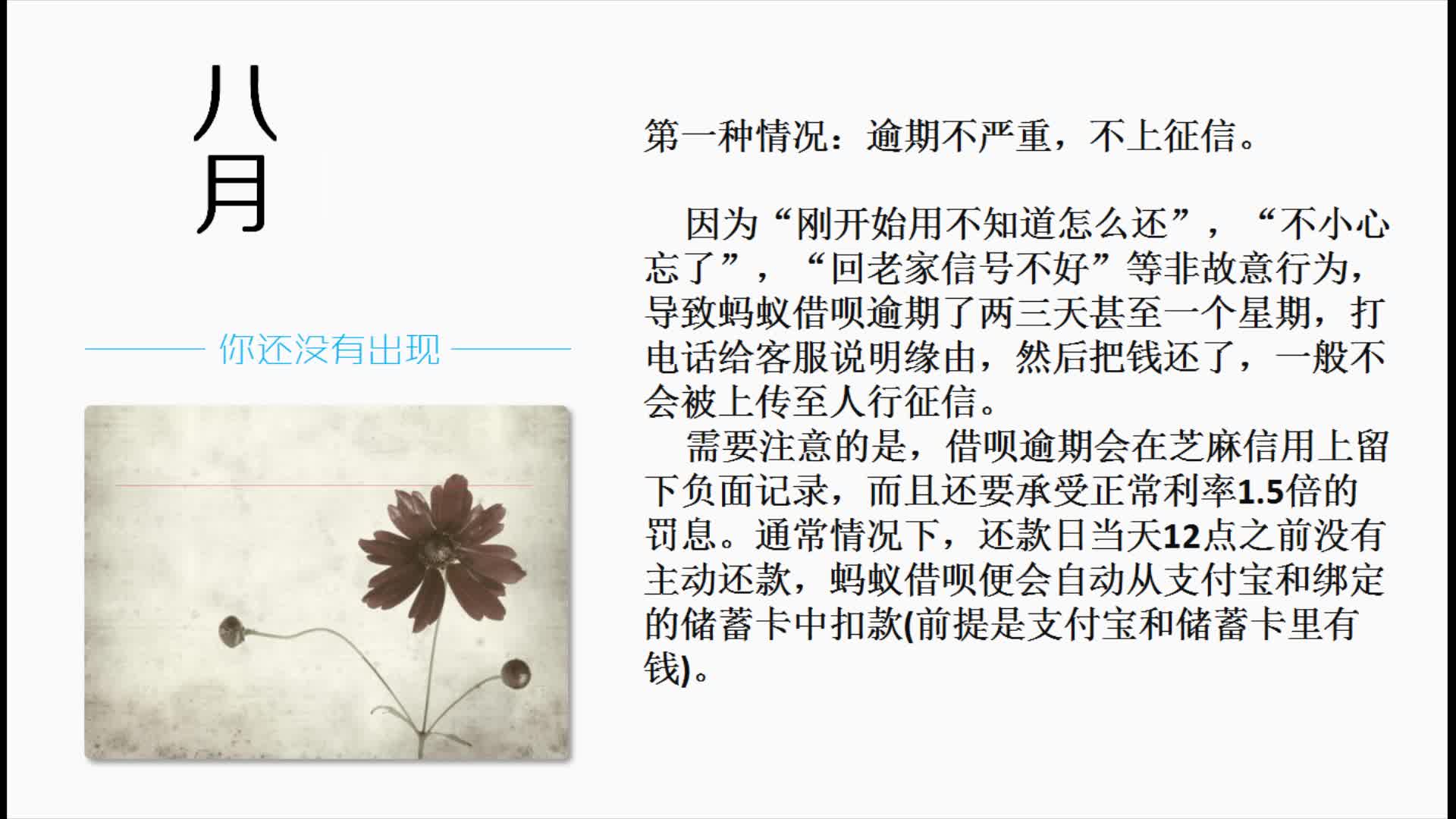 蚂蚁借呗注意事项,借呗逾期会上征信吗?