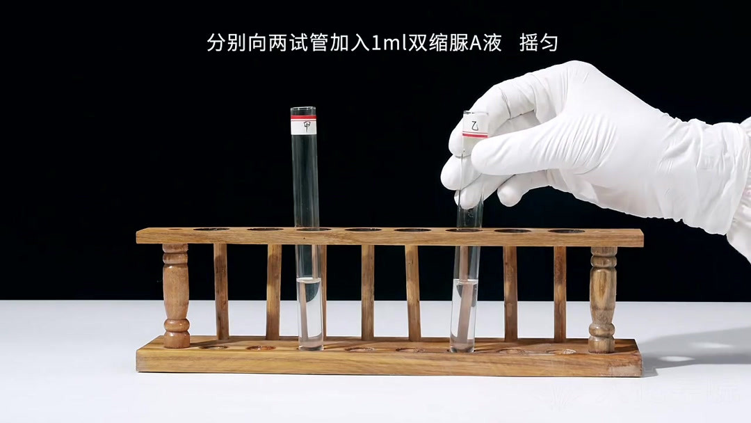 火花学院—蛋白质的检测