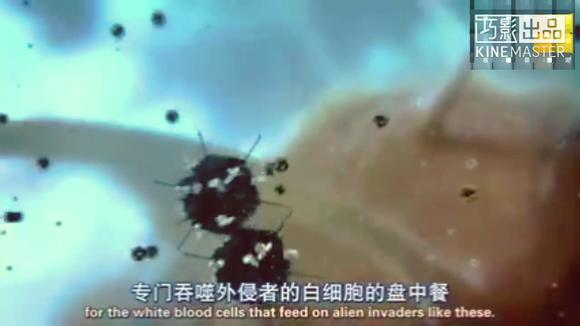 病毒进去人体内与体内细胞大战对抗实在太震撼了,堪称科幻大片啊