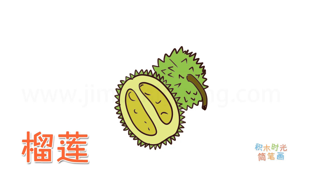 水果简笔画大全,画榴莲简笔画