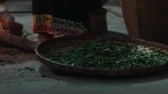 普洱茶的功效虽多,但有三个主要的你知道吗?以前真不懂