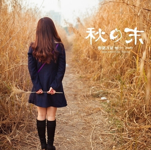七巧国际 