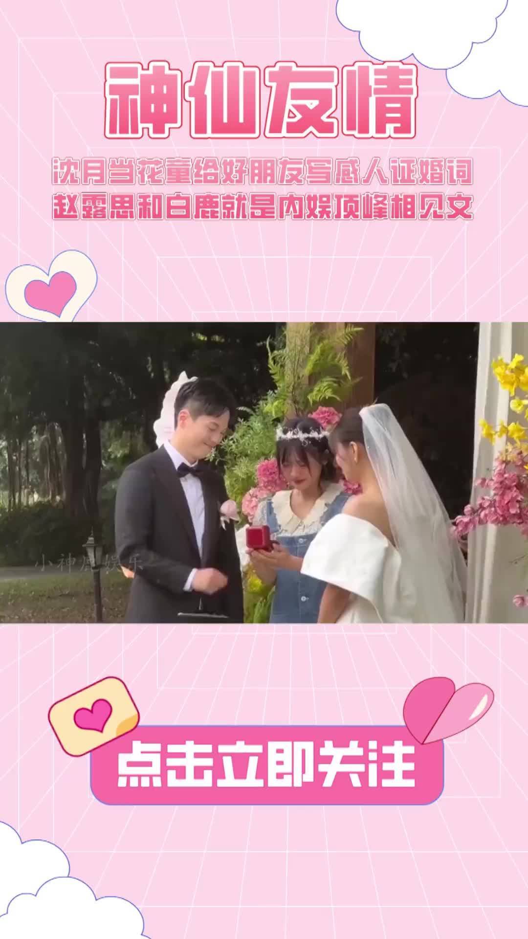 鲨我别用友情刀