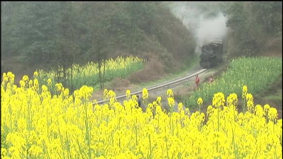 七八十年代的你我他,嘉阳小火车的前世!