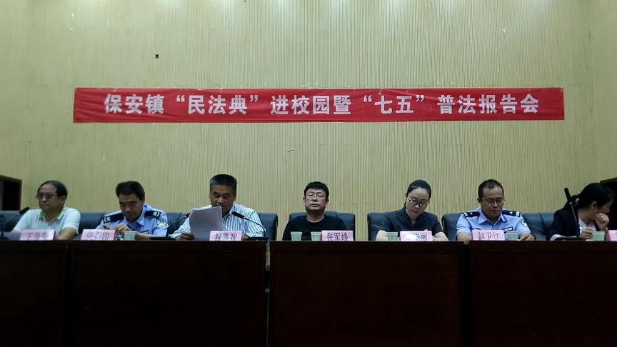 洛南县保安镇民法典进校园暨七五普法宣传活动成功举办