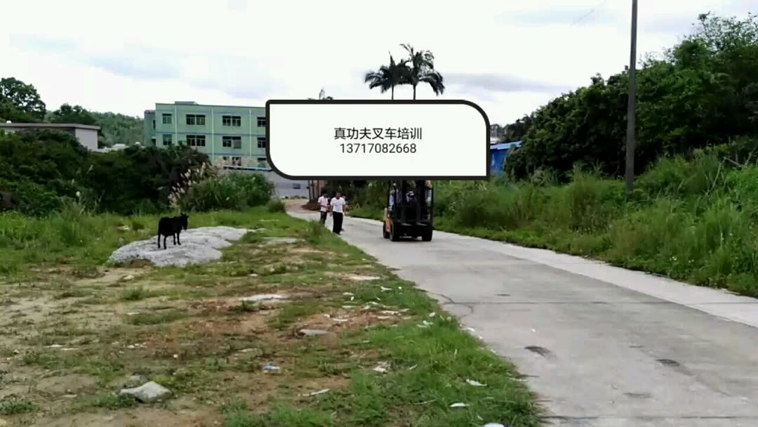 叉车培训考证的半坡起步