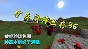 我的世界矿石菌种36:被经验球包围,神器木剑终于满级