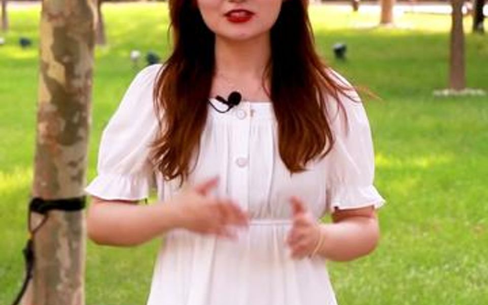 清华学姐的独门高效记笔记方法!告别机械抄板书!