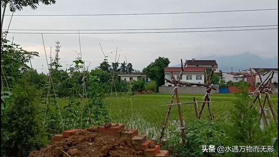 志愿者们用实际行动践行全心全意为人民服务![玫瑰][玫瑰][玫瑰]