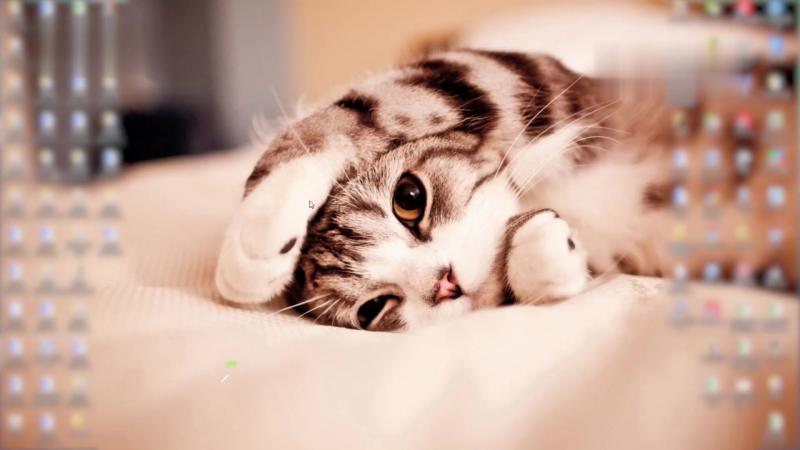 电脑壁纸怎么改大小