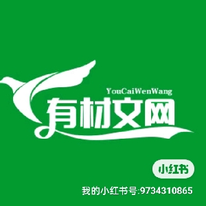 全文在有材文网 