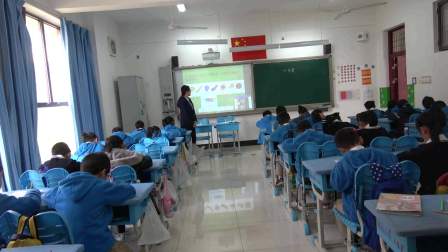 一年级上册冀教版六分类