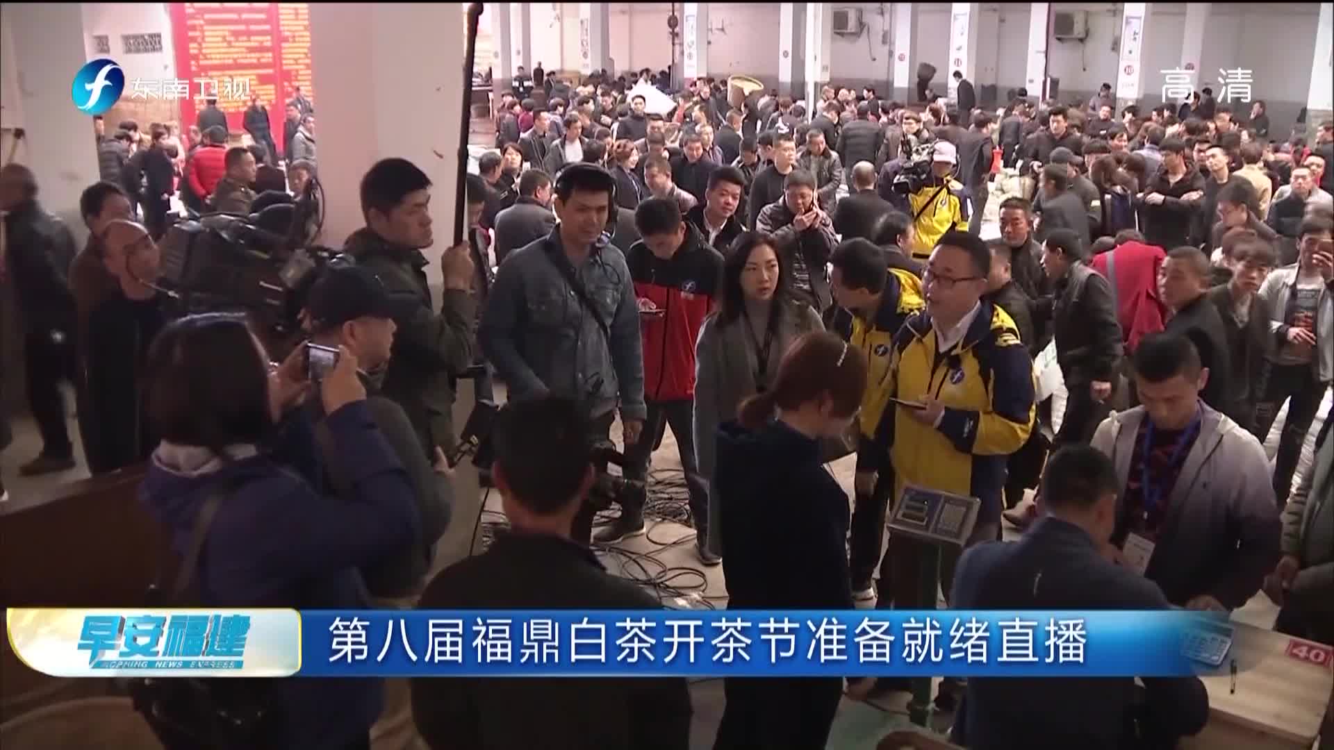 第八届福鼎白茶开茶节准备就绪直播