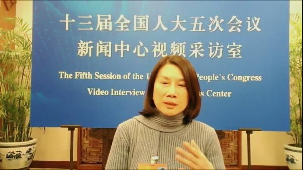 会见企业家|董明珠:电池首先要安全而非密度