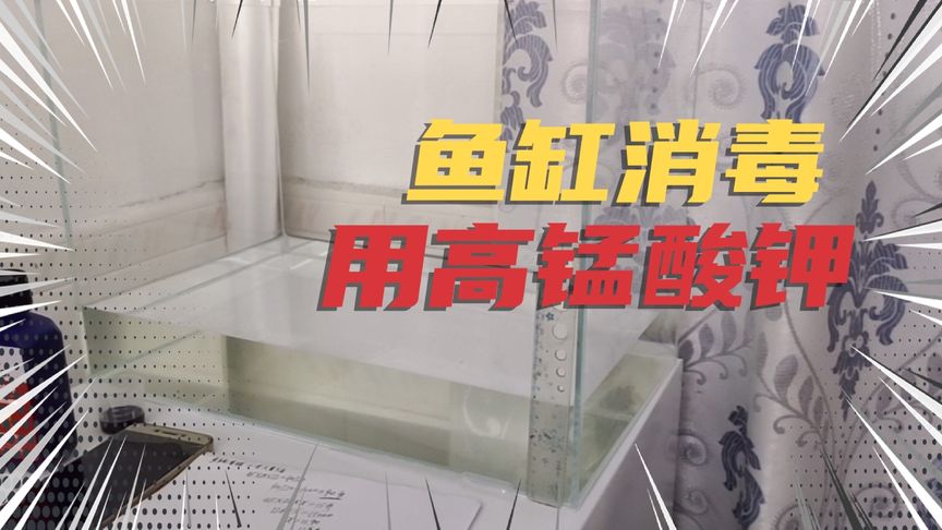 用高猛酸钾清理鱼缸消毒,担心腐蚀性要戴手套,精确算出水位高度
