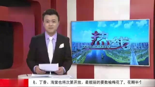 以为遇良人却是"杀猪盘"!金融消费安全教育短视频来了!
