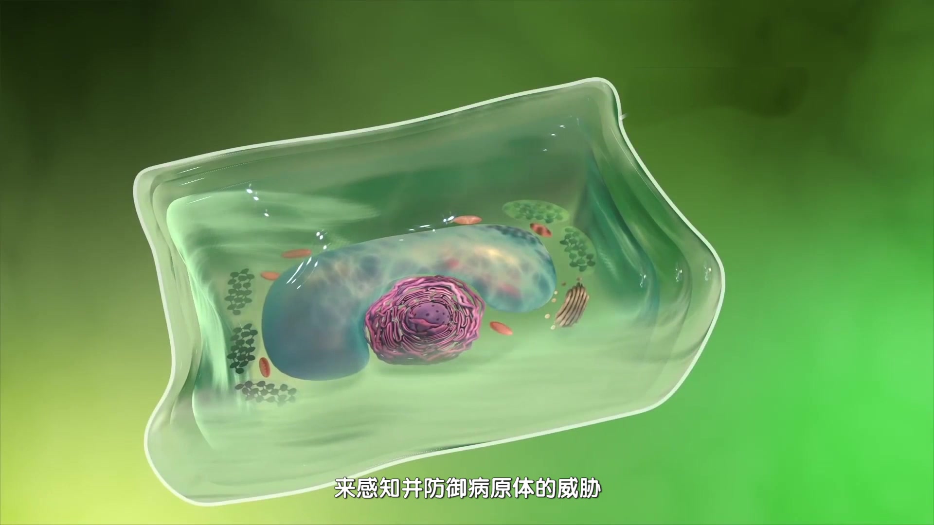 ...病毒也懂“骗术”?中科院国际团队揭示病毒如何“骗过”植物并入侵