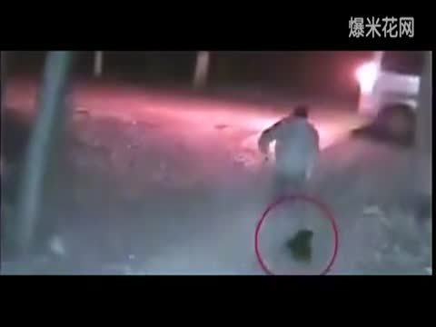 3男持棍打死藏獒还威胁主人