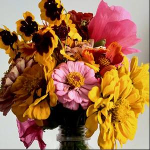 爱生活的热汉古丽 