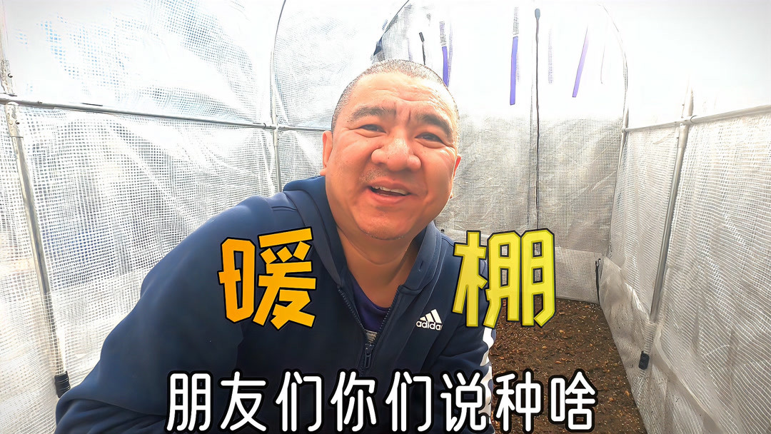 室外温度23度,大棚里温度多少度?青岛一楼小院的暖棚种点啥?