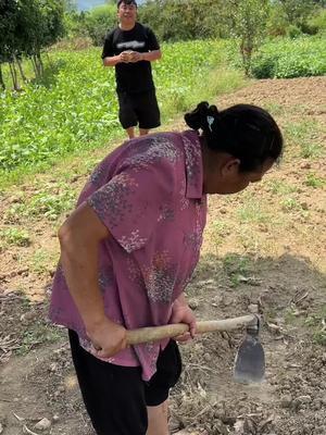 妈妈不容易我的乡村生活 新农村计划2022 高温下的劳动者 田间地头...