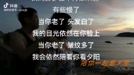 当你老了---抖音滚动字幕练习