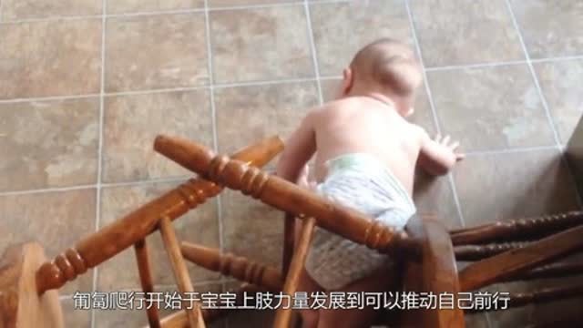 被早教老师强调的匍匐爬行和手膝爬行,到底多重要?快来看看