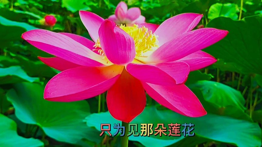 今天正月初十祝你十全十美,一生荣华富贵吉祥如意,财源广进。