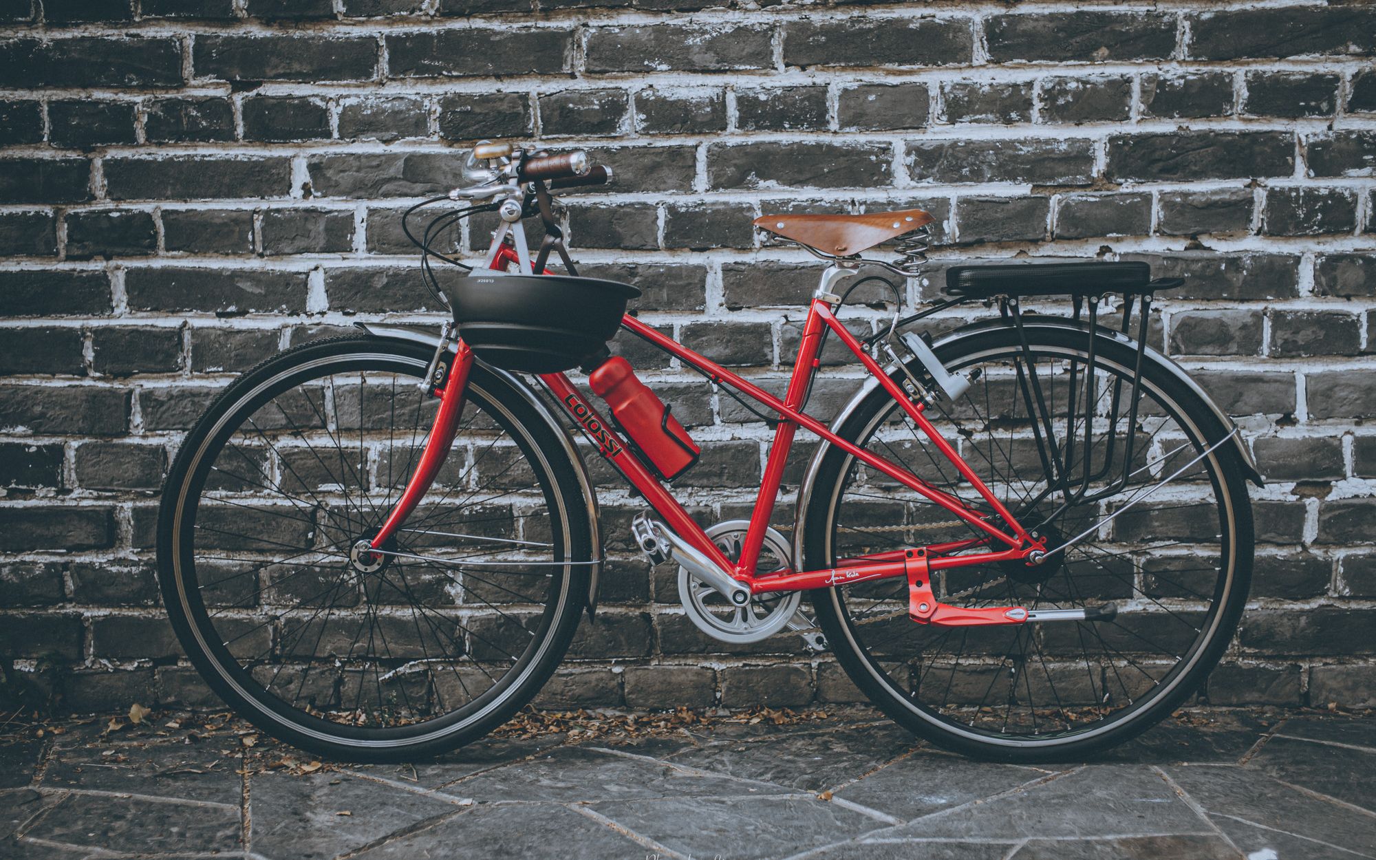 钟情钢架 第一次装一辆买菜自行车