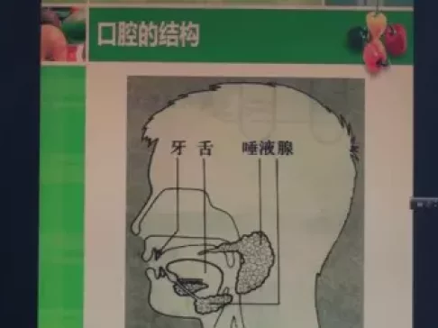 生物七年级第二单元第一章第二节第一课时