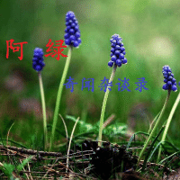 罗彬滔说家居 