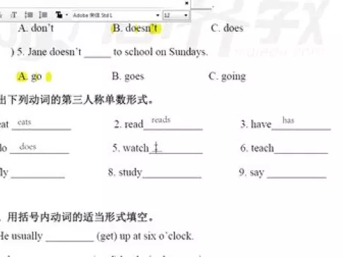 一般现在时 三单