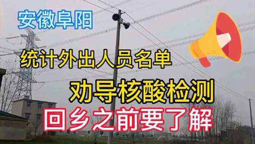 安徽阜阳统计外出人员名单,劝导做好核酸检测,为平安过年打基础