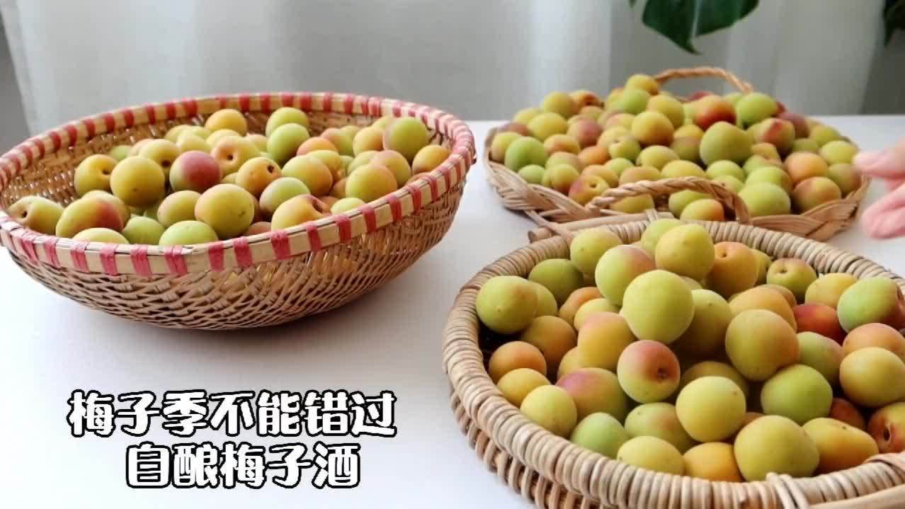 春日酿酒,夏夜微酣,三年自酿梅子酒经验