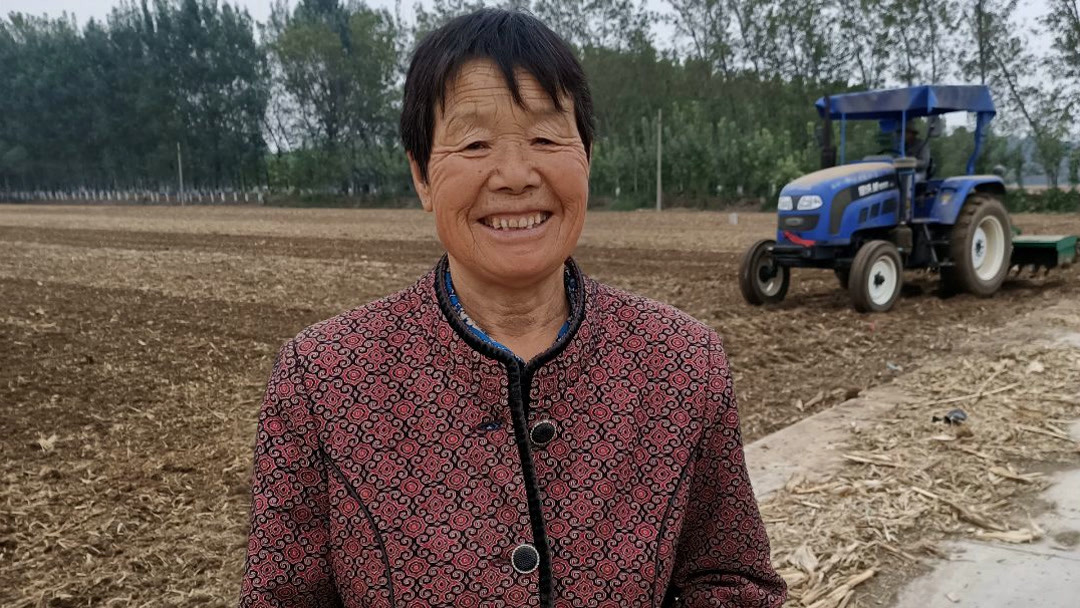 种植小麦要按这几个步骤才能高产 ,千万不要种错 ,来学学