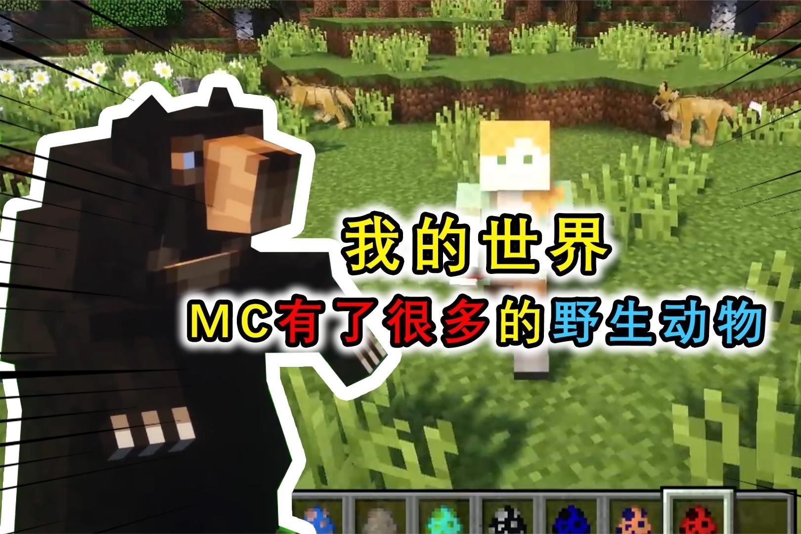 我的世界:MC有很多野生动物?招惹了丛林里的老虎会怎样?