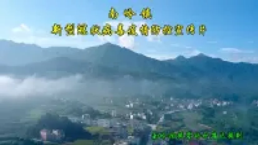 南岭冠状病毒疫情防控宣传片