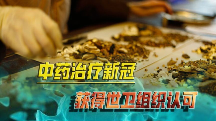 世卫组织认可,中药能有效治疗新冠肺炎,鼓励成员国推广使用