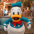 ListerWing 