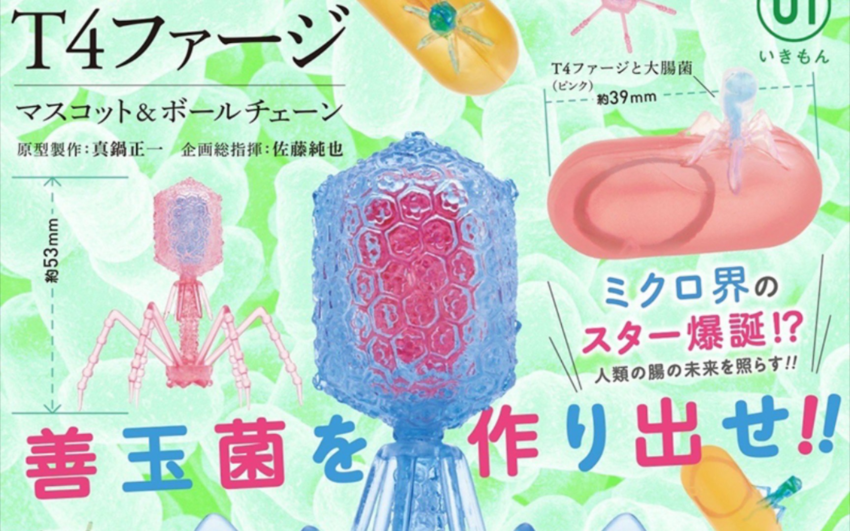 Ikimon(奇谭俱乐部) 大肠杆菌T4噬菌体扭蛋