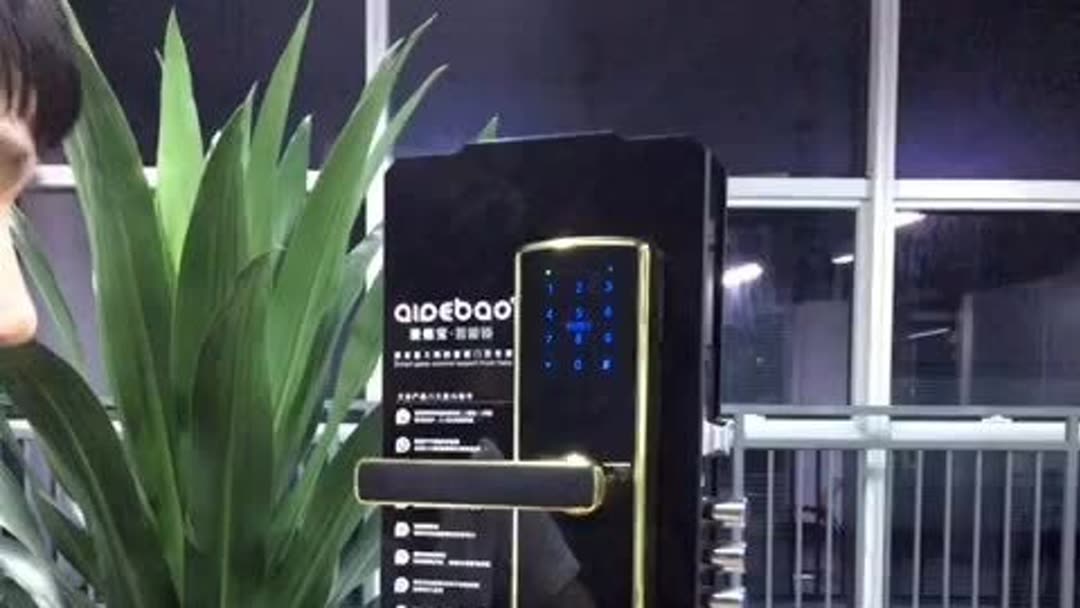 爱德宝1501A家用指纹锁--如何删除IC卡
